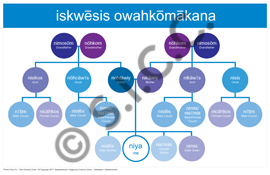 Kinship (Set of 2) (Plains Cree Y) – SICC Online Retail Store