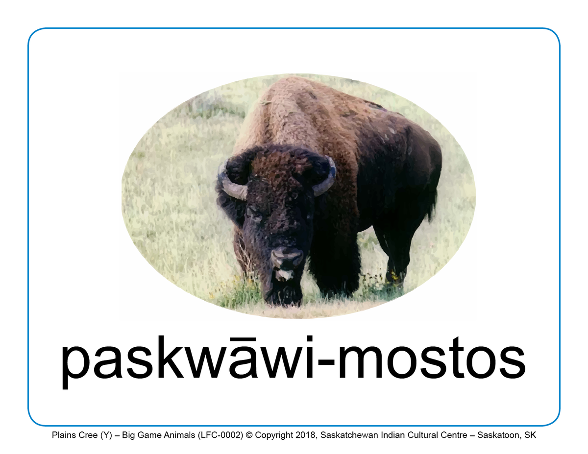 Big Game Animals (Plains Cree Y / English) 4.25"x5.5" – SICC Online ...
