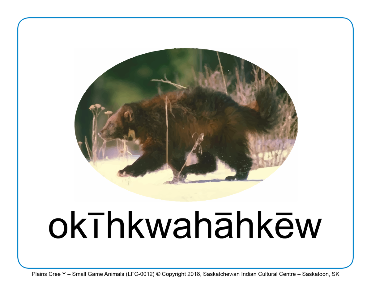 Small Game Animals (Plains Cree Y / English) 4.25"x5.5" – SICC Online ...