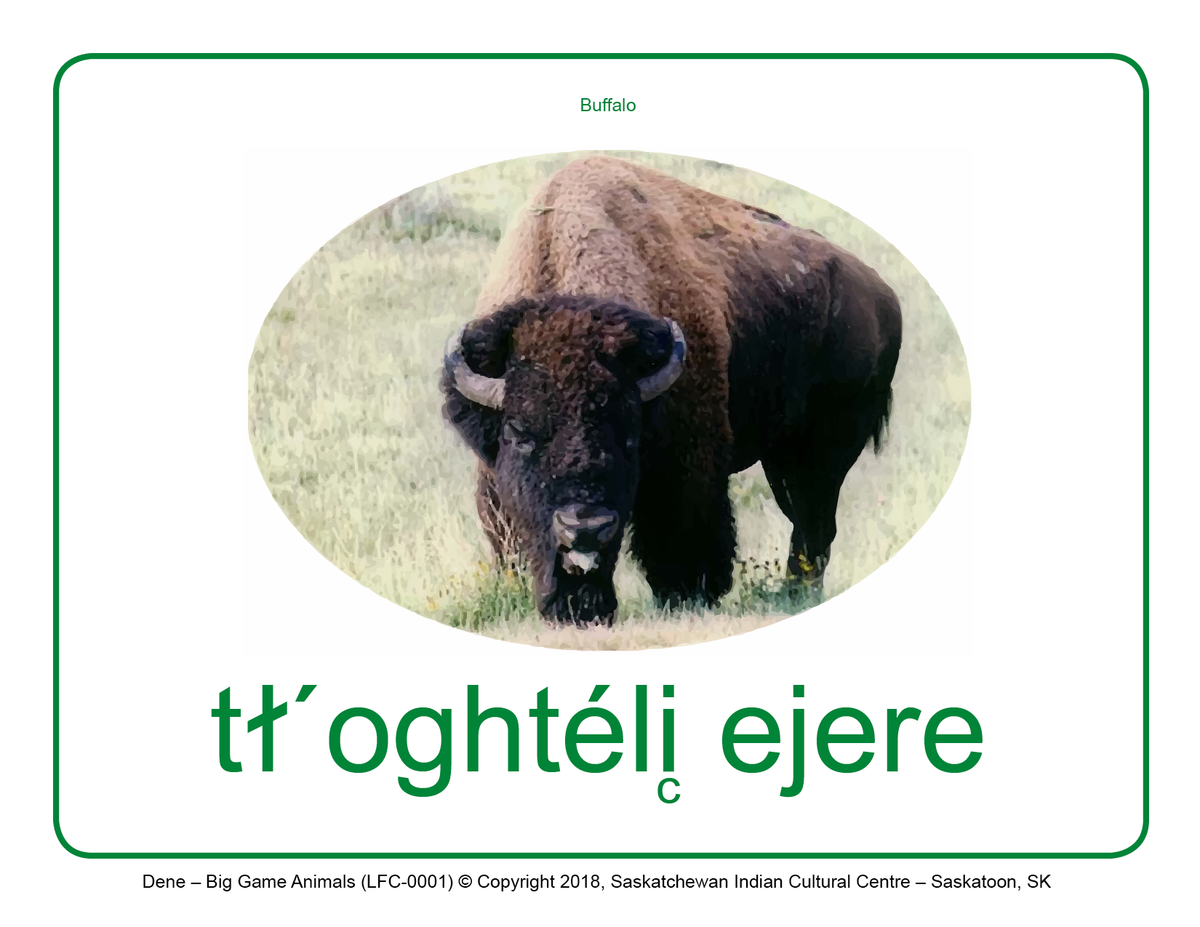 Big Game Animals (Dene) – SICC Online Retail Store