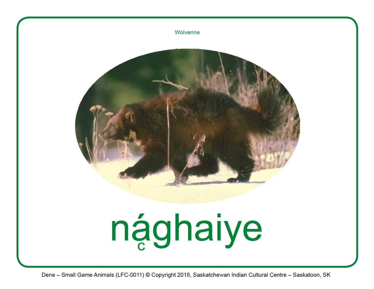 Small Game Animals (Dene) – SICC Online Retail Store