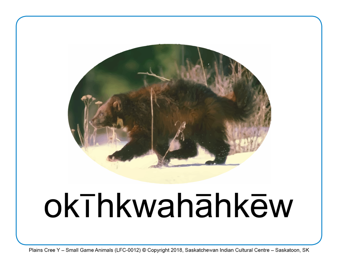 Flashcards (Plains Cree Y) – SICC Online Retail Store