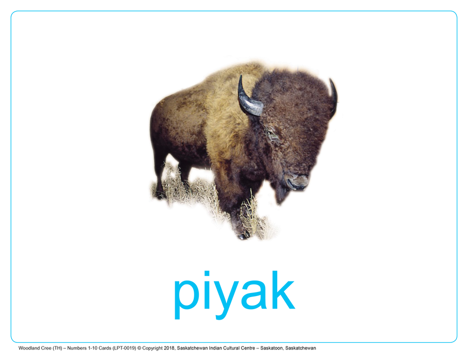 Flashcards [4" x 5"] (Woodland Cree TH) – SICC Online Retail Store